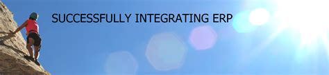 Successfully Integrating Erp Blog 7 Vokeso