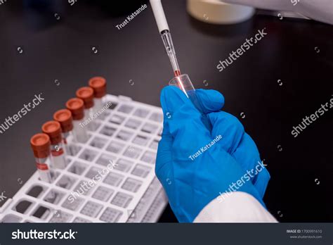 Scientist Using Micropipette Stock Photo Shutterstock