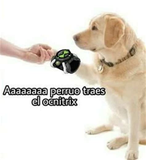 La Historia Detr S Del Meme Ah Perro Traes El Omnitrix Y Las