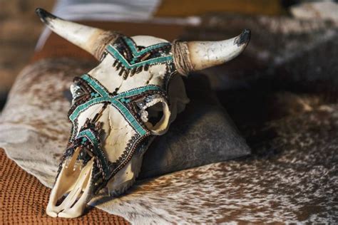 Turquoise Decorated Beaded Cow Skull Wall Art Decor Cráneos de toro