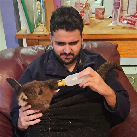 Fauna Fauna Australia Progressive Pathways Program