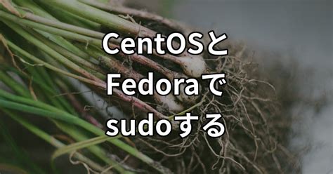 「sudoedit」で安全で快適にlinuxの設定ファイルを編集しよう！ Lfi