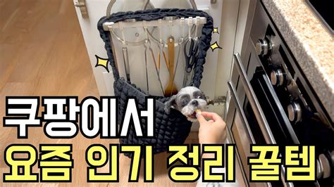 쿠팡에서 요즘 인기 좋은 정리 꿀템 Best Youtube