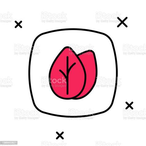 Contour Rempli Icône Feuille Isolée Sur Fond Blanc Signe De Feuilles