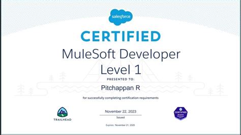 Pitchappan Rajendran On Linkedin Mulesoftcertified Mulesoftdeveloper