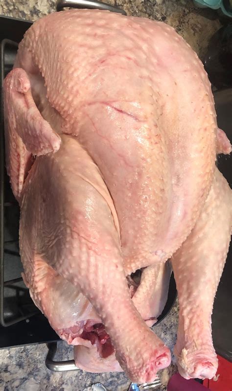 Pasture Raised Whole Turkey Turner Creek Farm