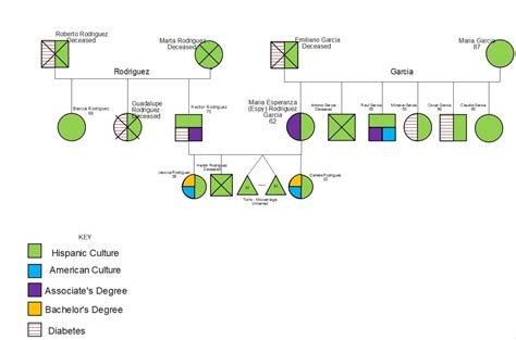Ten Free Editable Genogram Examples