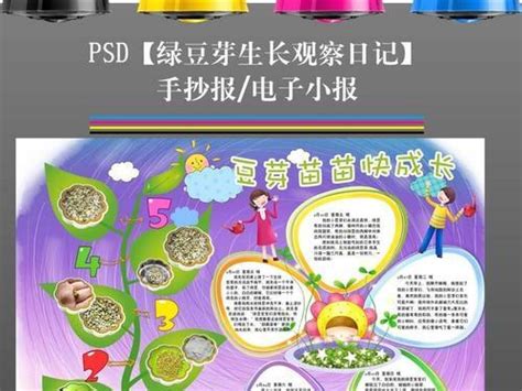 豆芽生长过程图画步骤手抄报 手抄报版面设计图 普车都