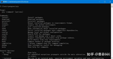 Windows Python