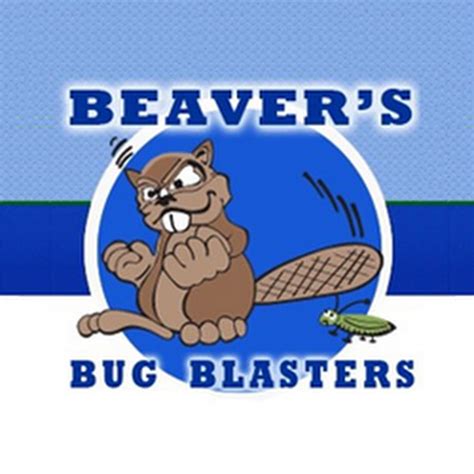 Beavers Bug Blasters Youtube