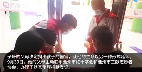 池州11岁男孩因病离世捐出器官 遗体将用作医学研究凤凰网安徽凤凰网