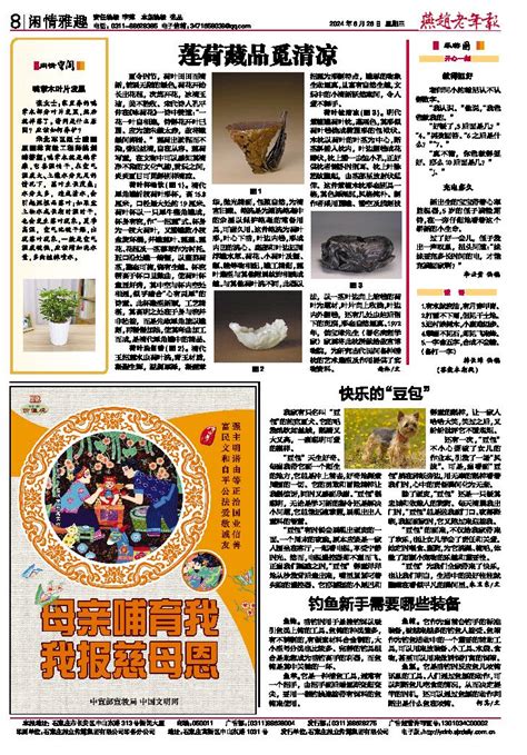 燕赵老年报 第08版：闲情雅趣 2024年06月26日