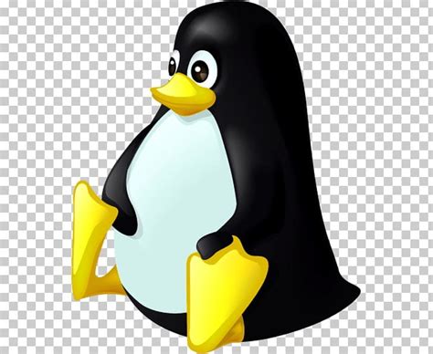 Tux Linux Computer Icons Png Clipart Arch Linux Beak Bird Computer