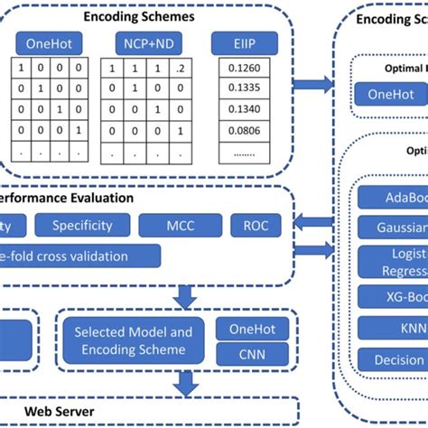 two layer model flow diagram download scientific diagram