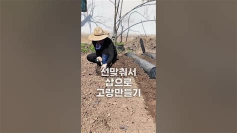텃밭농사준비 고랑이랑만들기 비닐씌우기 Shorts Youtube