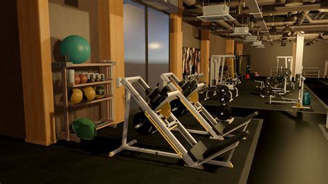 Public Gym Environments Virt A Mate Hub