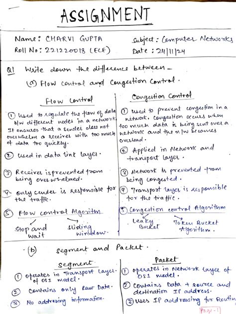Comp Network Assignment Pdf