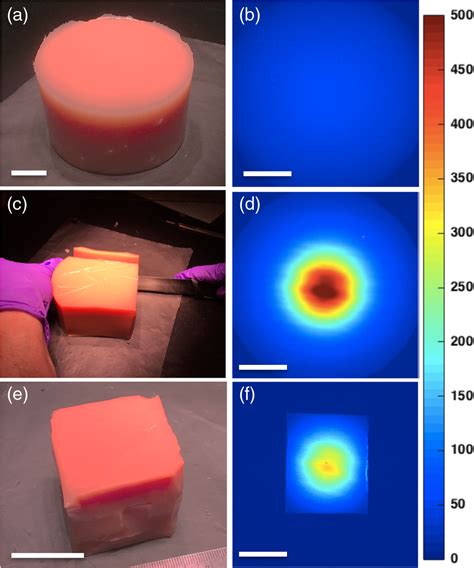 Development And Evaluation Of A Connective Tissue Phantom Model For Subsurface Visualization Of