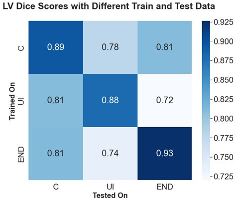 Label Dropout Improved Deep Learning Echocardiography Segmentation