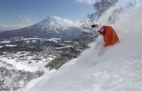 Niseko Snowscene