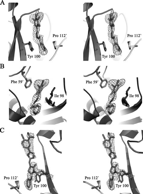 Stereo View Of The Omit Electron Density Map Contoured At 10 Around Download Scientific