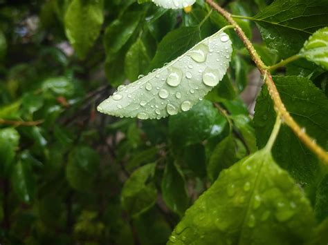 Erik Leafs Instagram Twitter And Facebook On Idcrawl