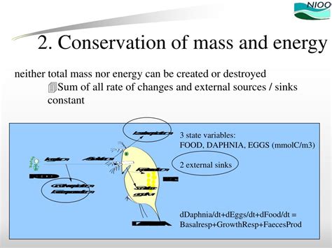 Ppt Ecological Modelling Powerpoint Presentation Free Download Id