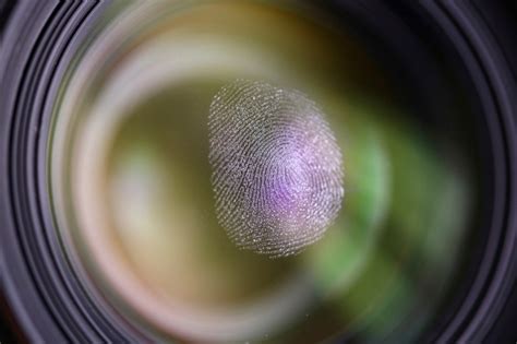 5 Reason To Use Fingerprint Recognition Software For Secure Identification