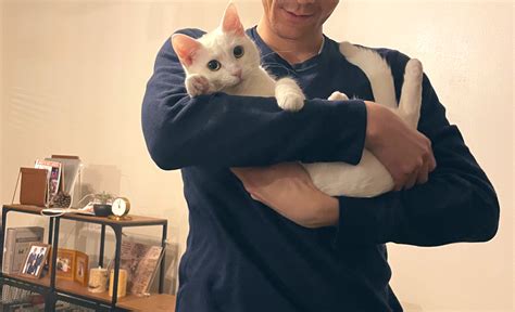 猫と衣食住 On Twitter パートナーとおネコはなんというかお互いにちょっかいをかけあうベストフレンドという感じで、私とはまた違う
