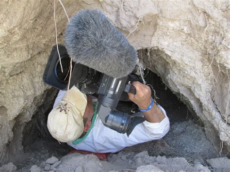 Stalking Wild Earth Fissures In Cochise County AZGS