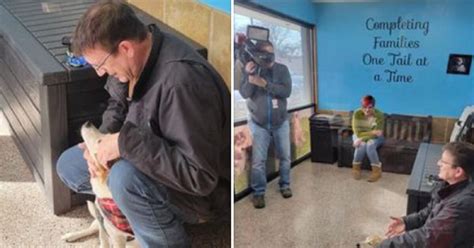 Cane Rubato 6 Anni Fa Ritrova La Sua Famiglia Grazie Al Microchip