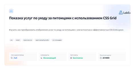 Показка услуг по уходу за питомцами с использованием Css Grid Labex