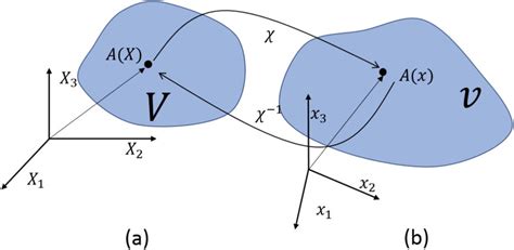A The Reference Configuration B The Current Configuration Download Scientific Diagram