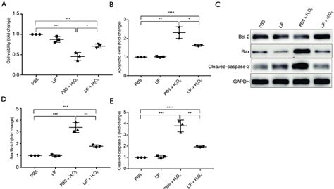 Effects Of Lif On H2o2 Triggered Apoptosis In 661w Cells A Cell