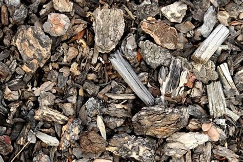 무료 사진 갈색 색상 오래 된 페인트 나무 판자 텍스처