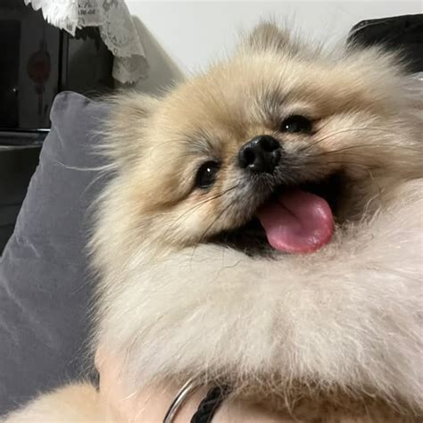 茱莉🌹 Weichu0331 • Threads Say More