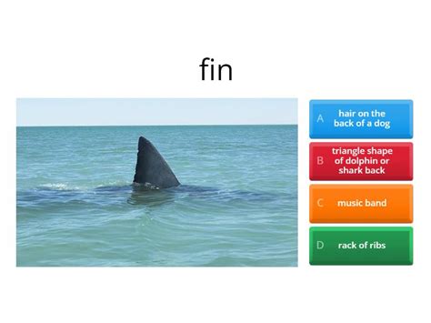 Wilson Read And Define Quiz