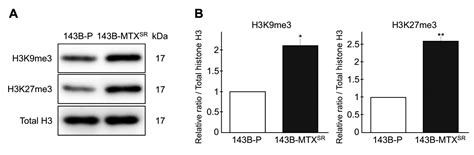 Loss Of Malignancy Of Super Methotrexate Resistant Osteosarcoma Cells