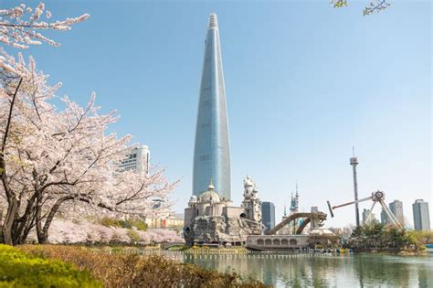 서울 잠실 석촌호수 벚꽃축제 2024 실시간 만개한 벚꽃 포토존 네이버 블로그