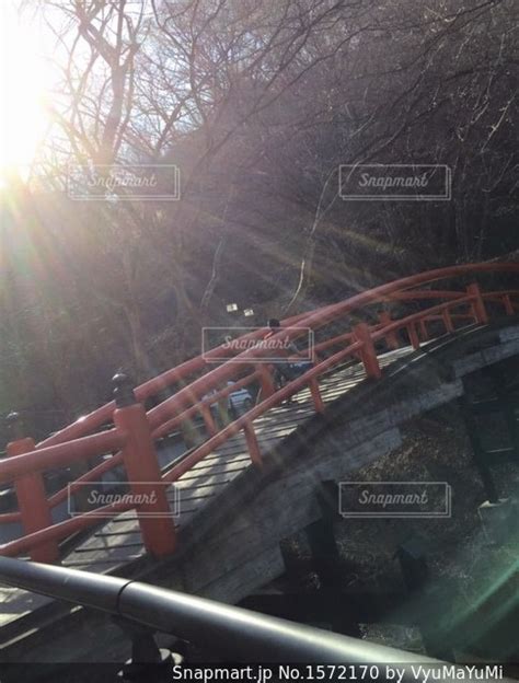 はしゃぐ子供の写真・画像素材 Snapmart（スナップマート）