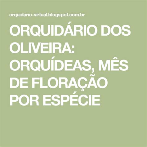 ORQUIDÁRIO DOS OLIVEIRA ORQUÍDEAS MÊS DE FLORAÇÃO POR ESPÉCIE