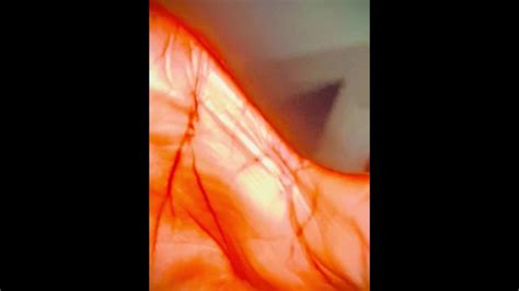 Hyfen Dick Flick Pornhub Gay