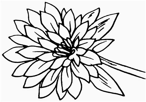 Gambar Dunia Sekolah Gambar Hitam Putih Drawing Bunga Pokok Total Di