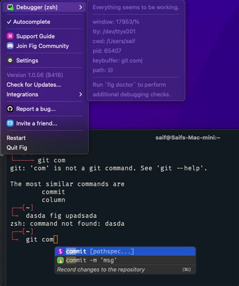 Custom Prompt Prevents Autocomplete From Working · Issue 1163 · Withfigfig · Github