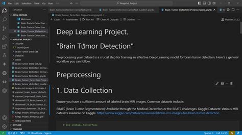 Bilal Saif On Linkedin Deeplearning Braintumordetection Machinelearning Ai Datascience