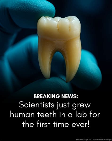 Hashem Al Ghaili Breaking Scientists Have Successfully Grown Human