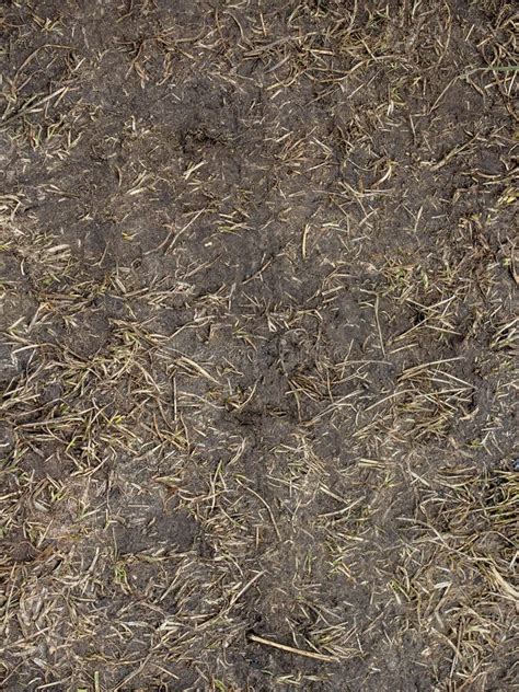 Dry Grass Texture Seamless