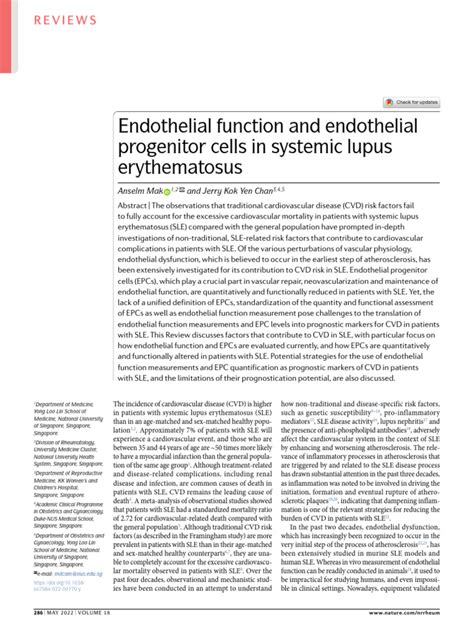 Lupus The Role Of Vascular Endothelial Cells In The Inflammatory