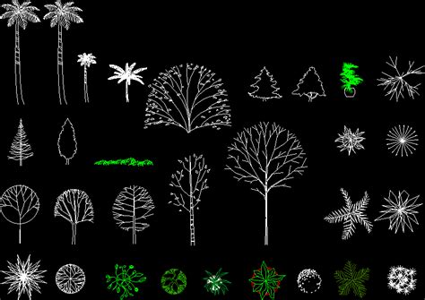 Trees Shrubs And Pot Plants 2D DWG Block For AutoCAD Designs CAD