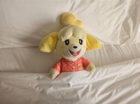 Isabelle Sleeping At The Hotel By Marybethemberjoy49 On Deviantart
